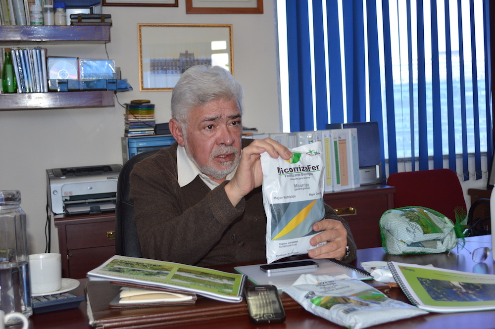 Viable aumentar 20% producción de maíz en un millón de hectáreas de ...