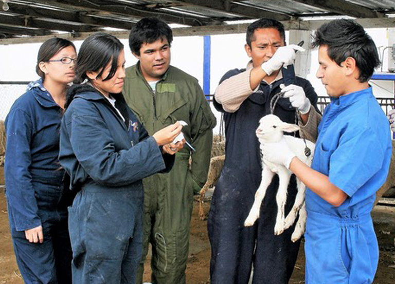Facultad de Medicina Veterinaria y Zootecnia de la UNAM, entre las ...