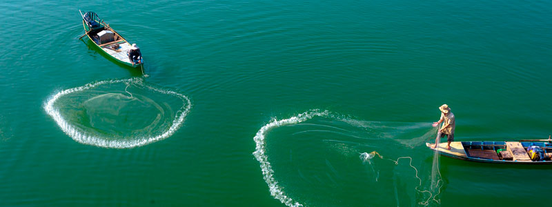 ¿Cómo afectará el cambio climático las pesquerías del mundo? - Prensa ...