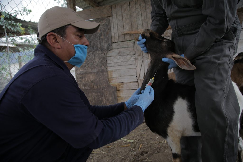 Invierte Sader mil 800 mdp en fortalecimiento de los programas ...