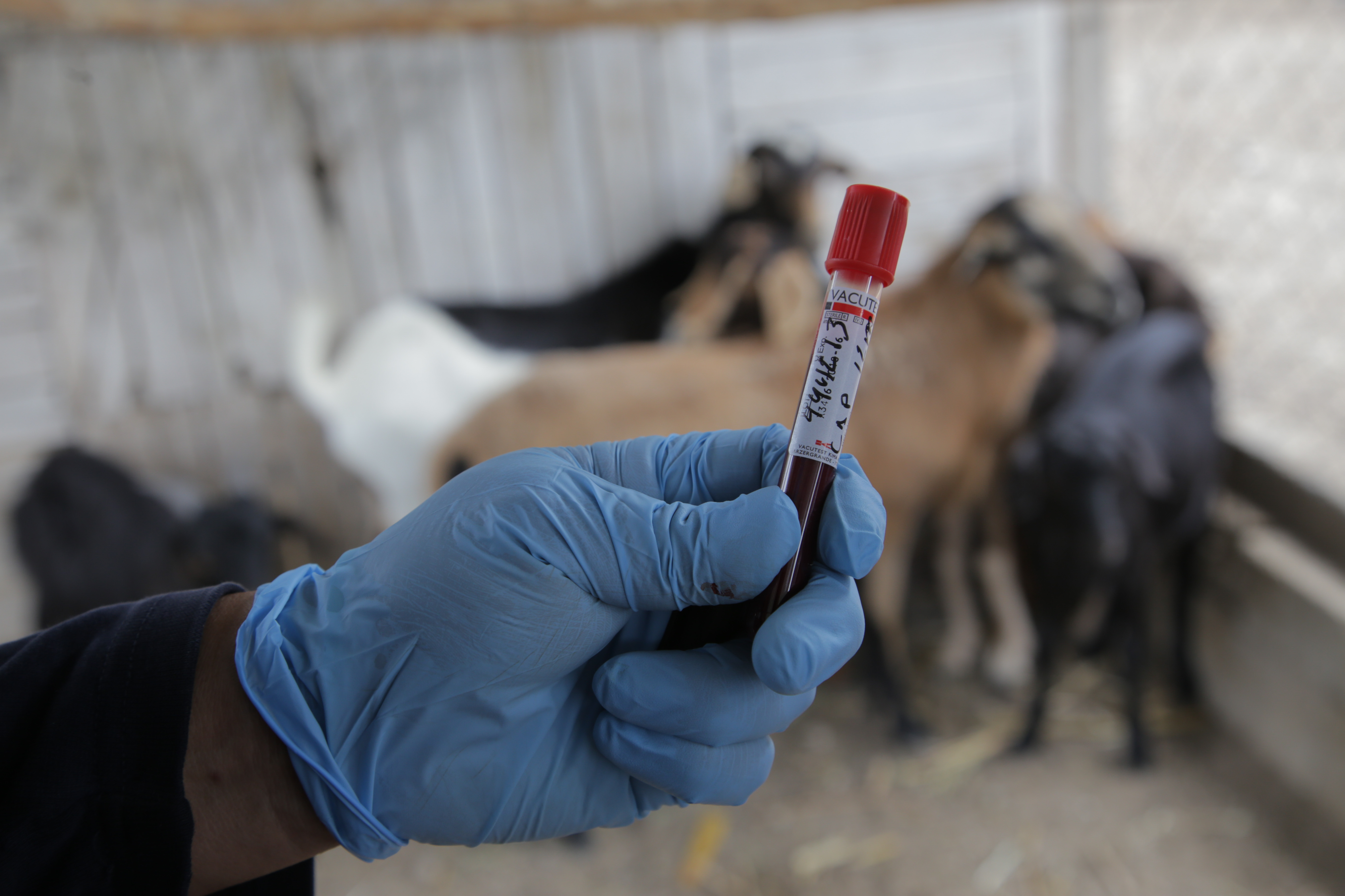Invierte Sader mil 800 mdp en fortalecimiento de los programas ...
