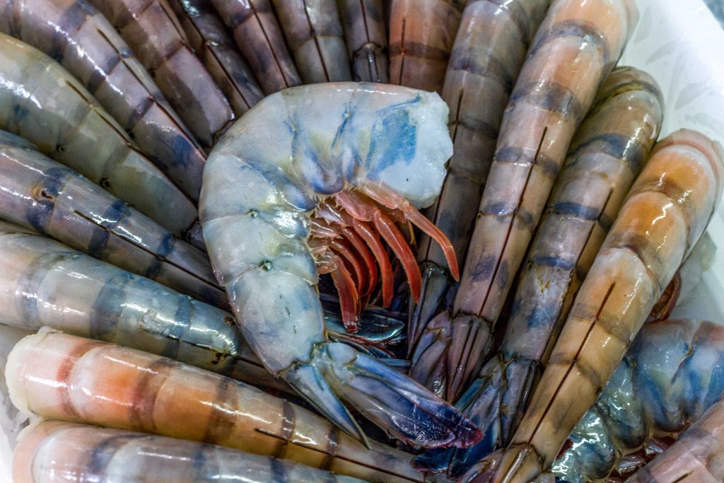 Acuerdan veda temporal de todas las especies de camarón para el 2019 en ...