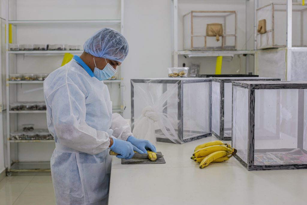 Fortalecen México y España cooperación técnica para control biológico ...