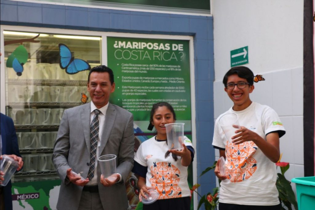 Liberan a Mariposas Monarcas en el Mariposario del Zoológico de ...