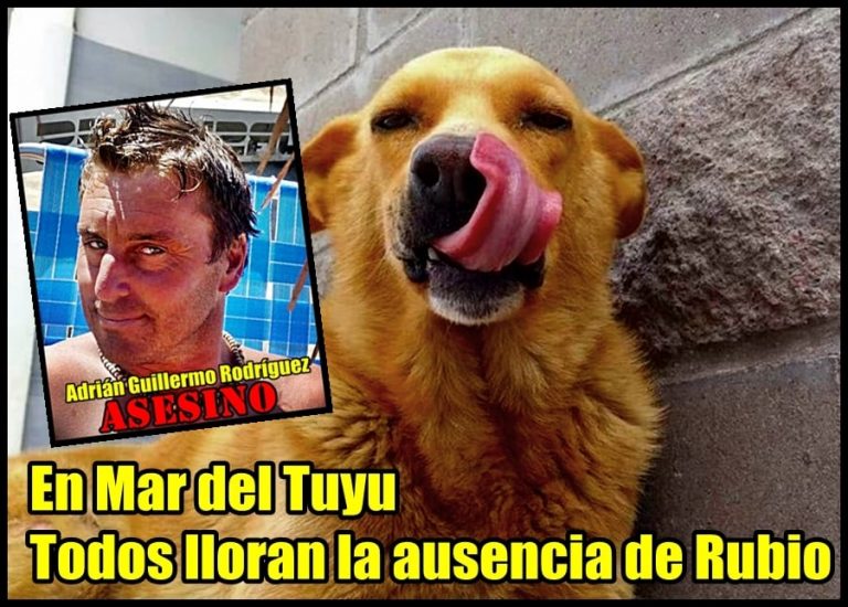 Los argentinos exigen justicia para el perrito Rubio que fue ...