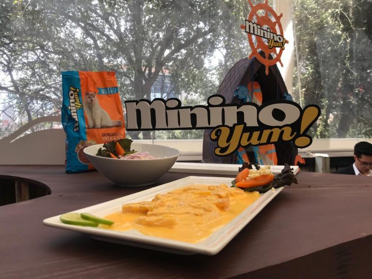 Presentan Minino Yum, nuevo sabor de alimento seco para gatos - Prensa ...