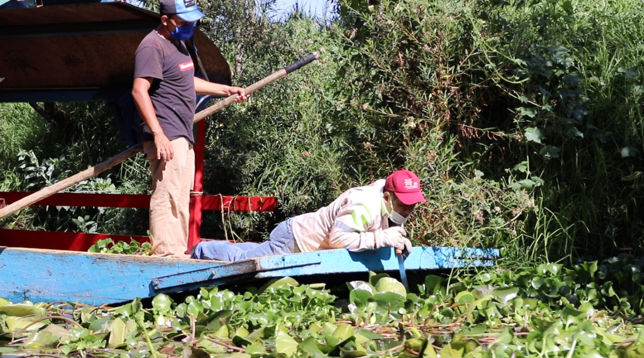Mega jornada de limpieza de canales en Xochimilco - Prensa Animal