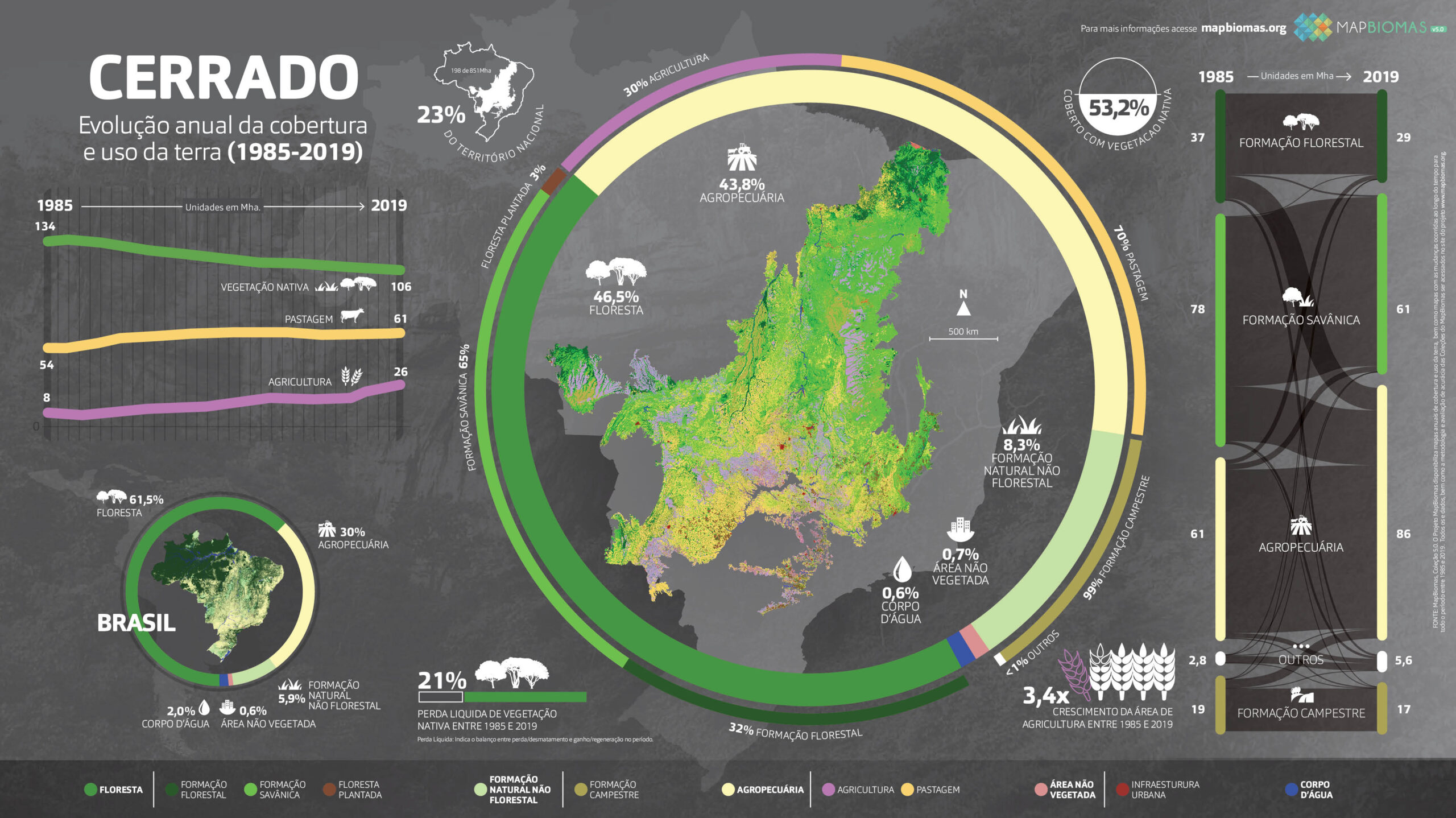 Cerrado en Brasil perdió 30 millones de vegetación nativa - Prensa Animal