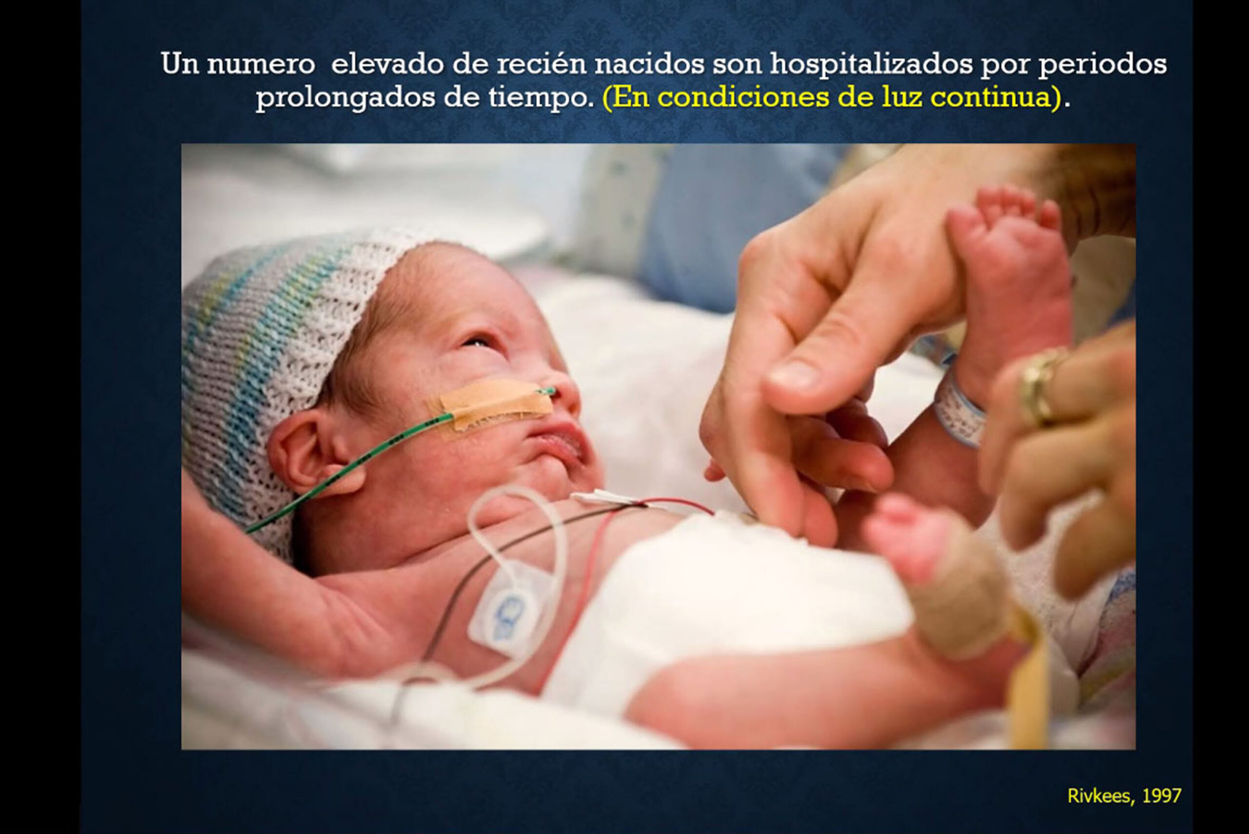 Luz controlada beneficia neonatos prematuros - Prensa Animal