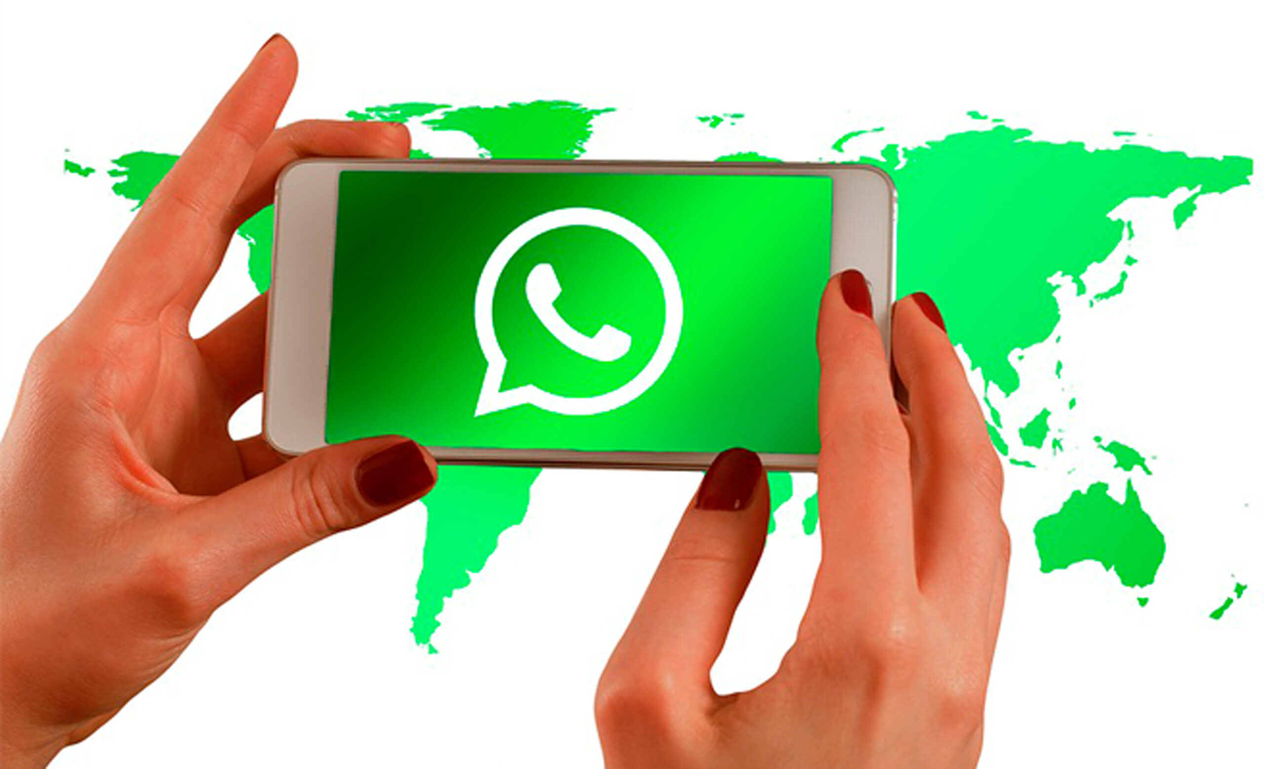 Whatsapp cambió el paradigma de la comunicación - Prensa Animal
