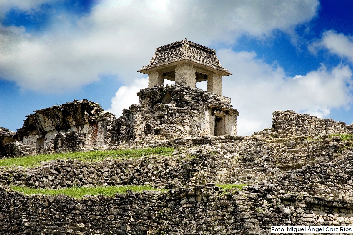 Parque Nacional Palenque se encuentra listo para visitas - Prensa Animal