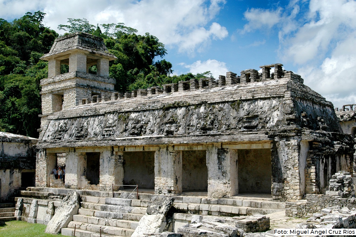 Parque Nacional Palenque se encuentra listo para visitas - Prensa Animal