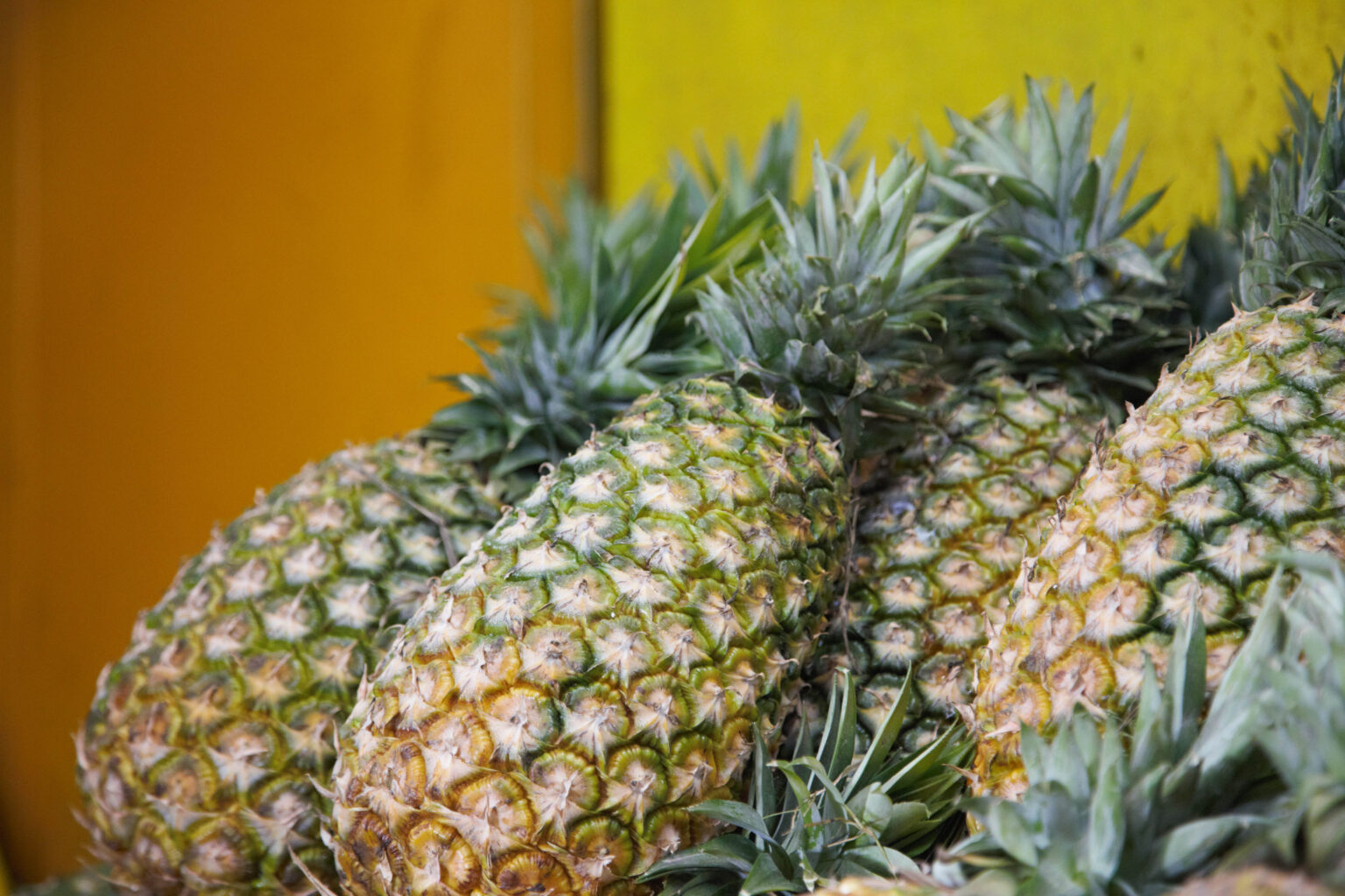 Crece 16.2% producción de piña en México durante 2020 - Prensa Animal