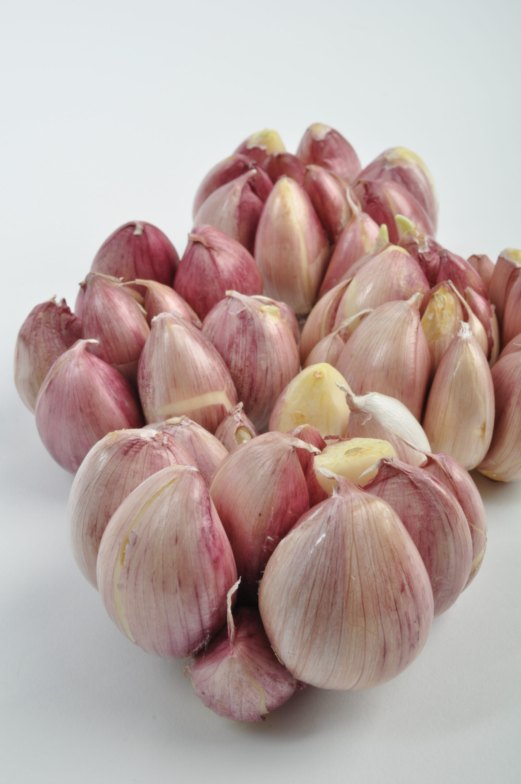 Se ubica México como noveno exportador mundial de ajos - Prensa Animal