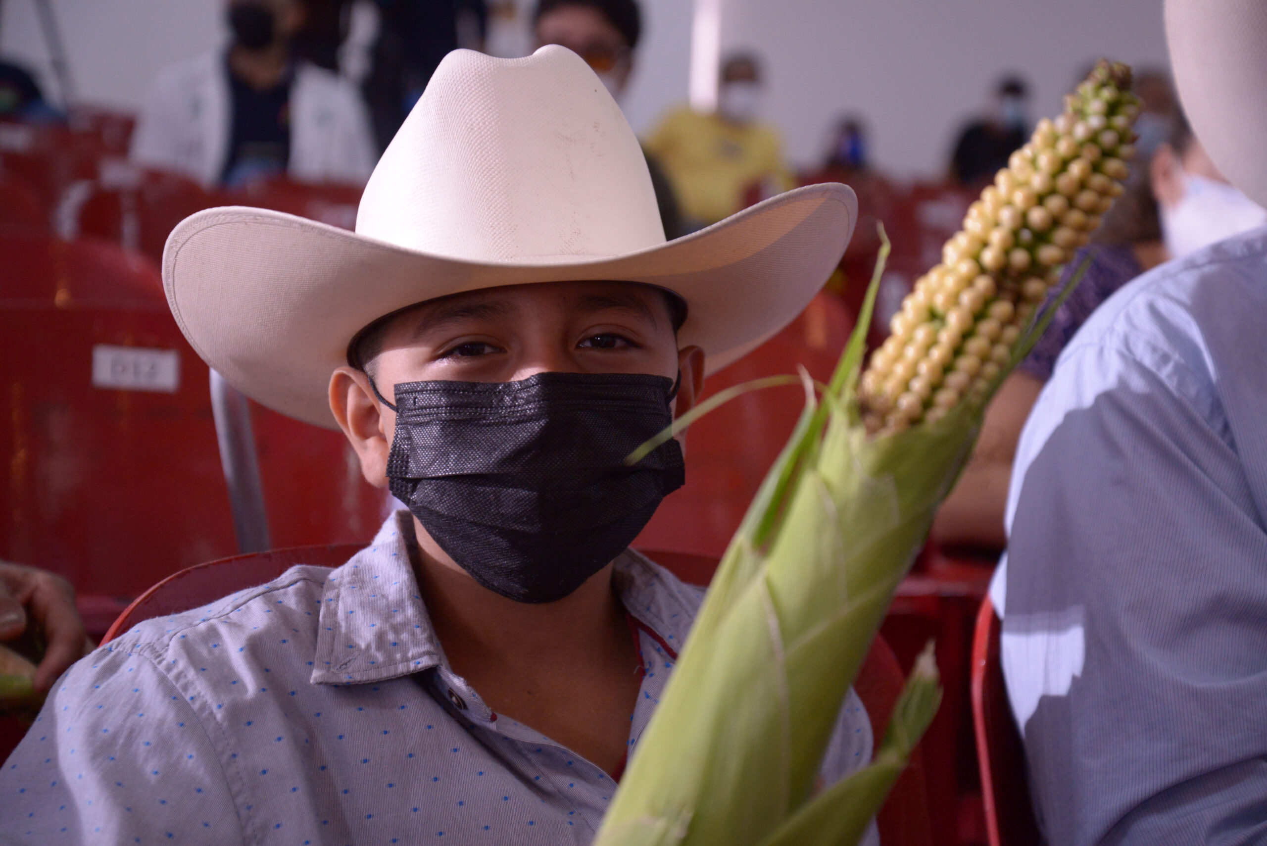 Realizan Concurso del Elote más Grande del Mundo - Prensa Animal