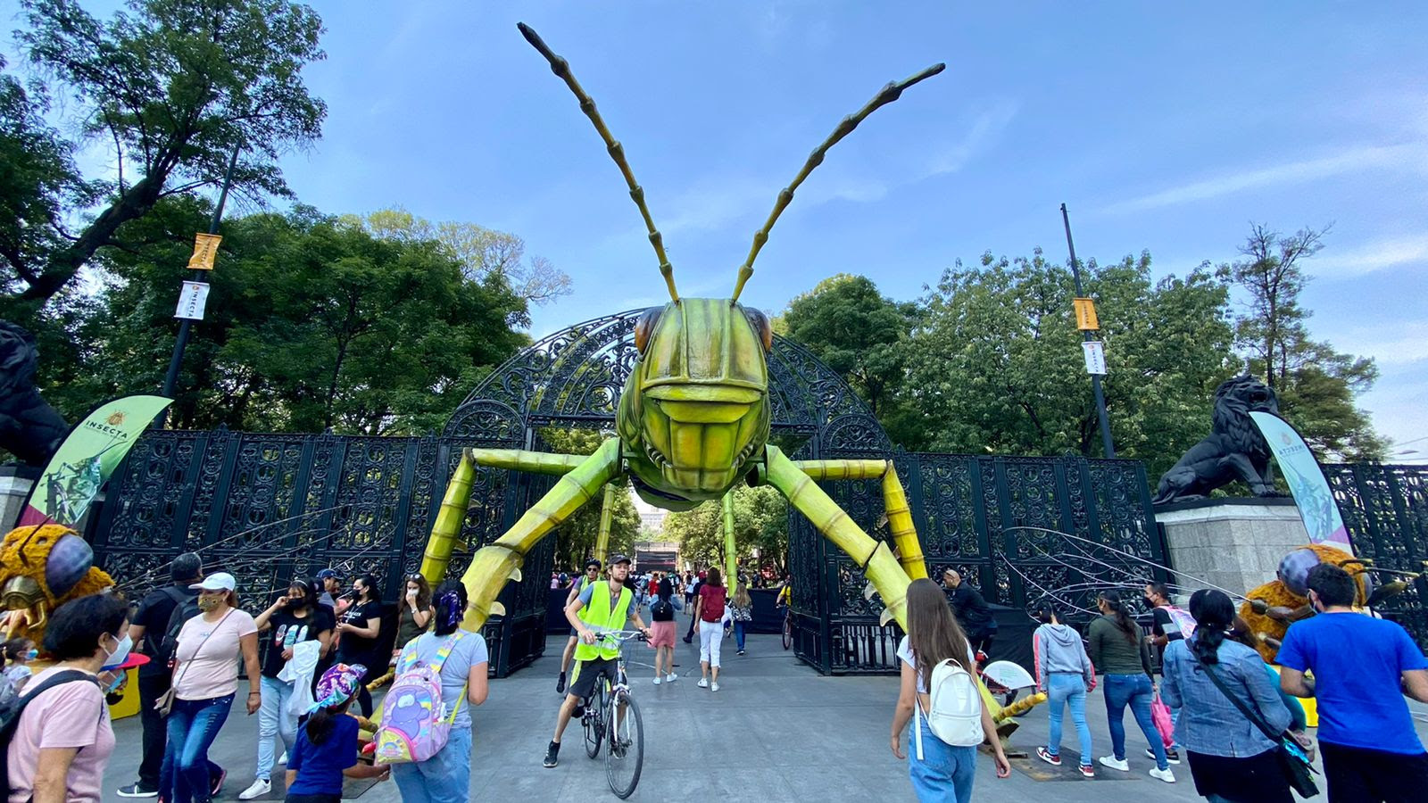 Celebran vida de insectos en el Bosque de Chapultepec - Prensa Animal