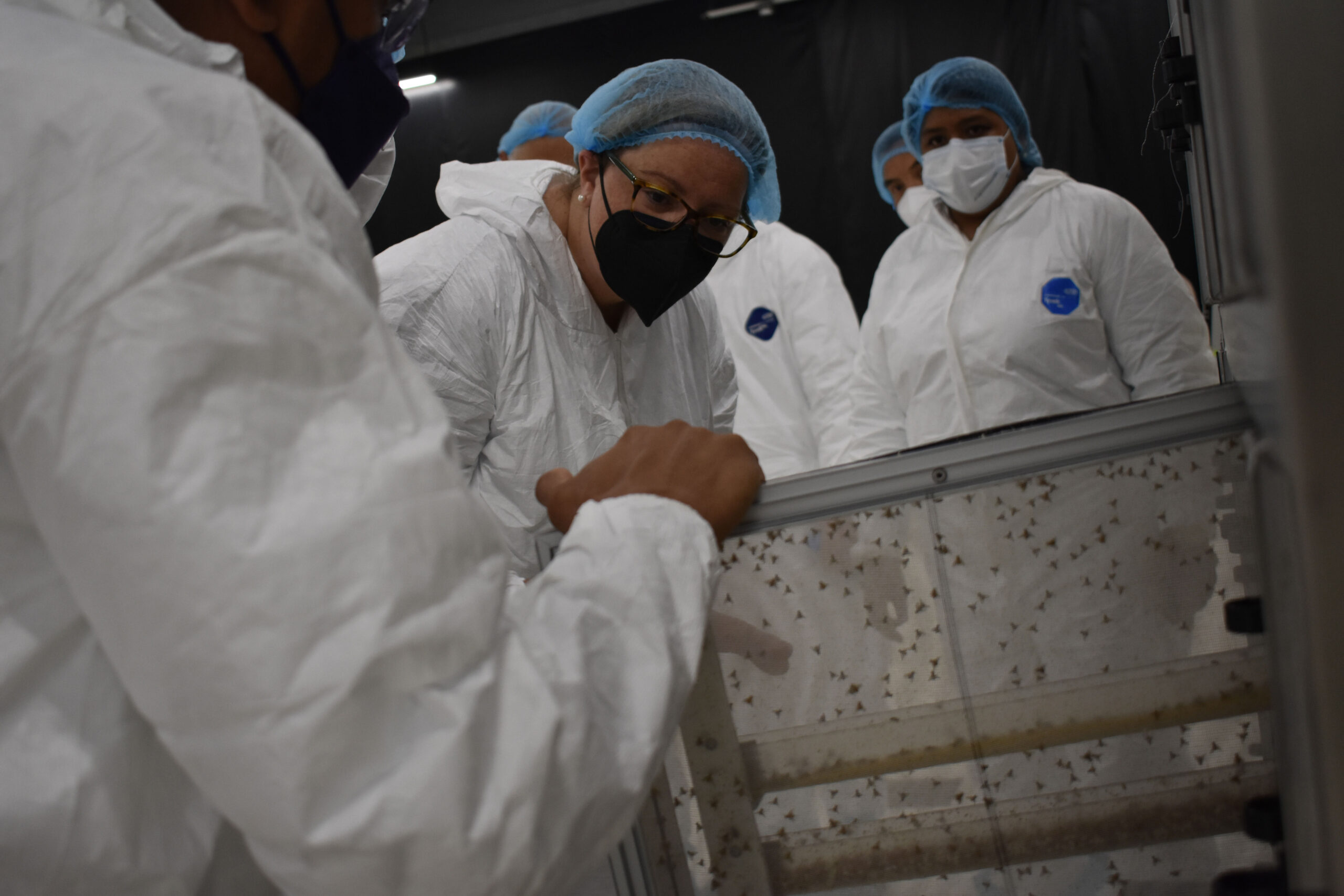 Supervisan la nueva Planta Moscamed en Chiapas - Prensa Animal