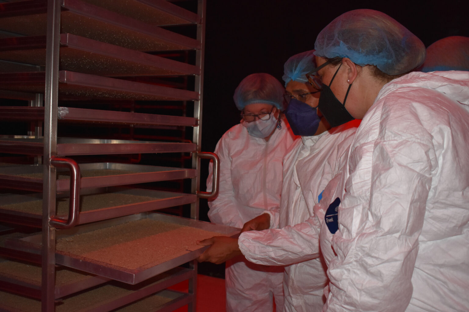 Supervisan la nueva Planta Moscamed en Chiapas - Prensa Animal