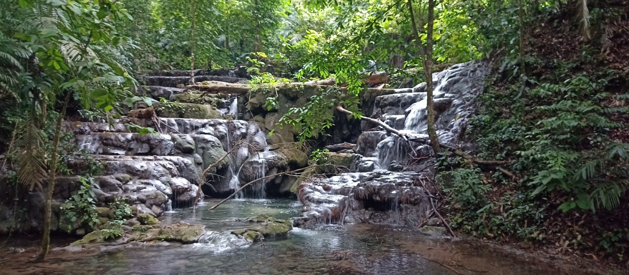 Celebra Parque Nacional Palenque 41 años - Prensa Animal