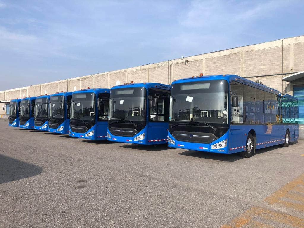 Circularán nuevos trolebuses en la Ruta 14 - Prensa Animal