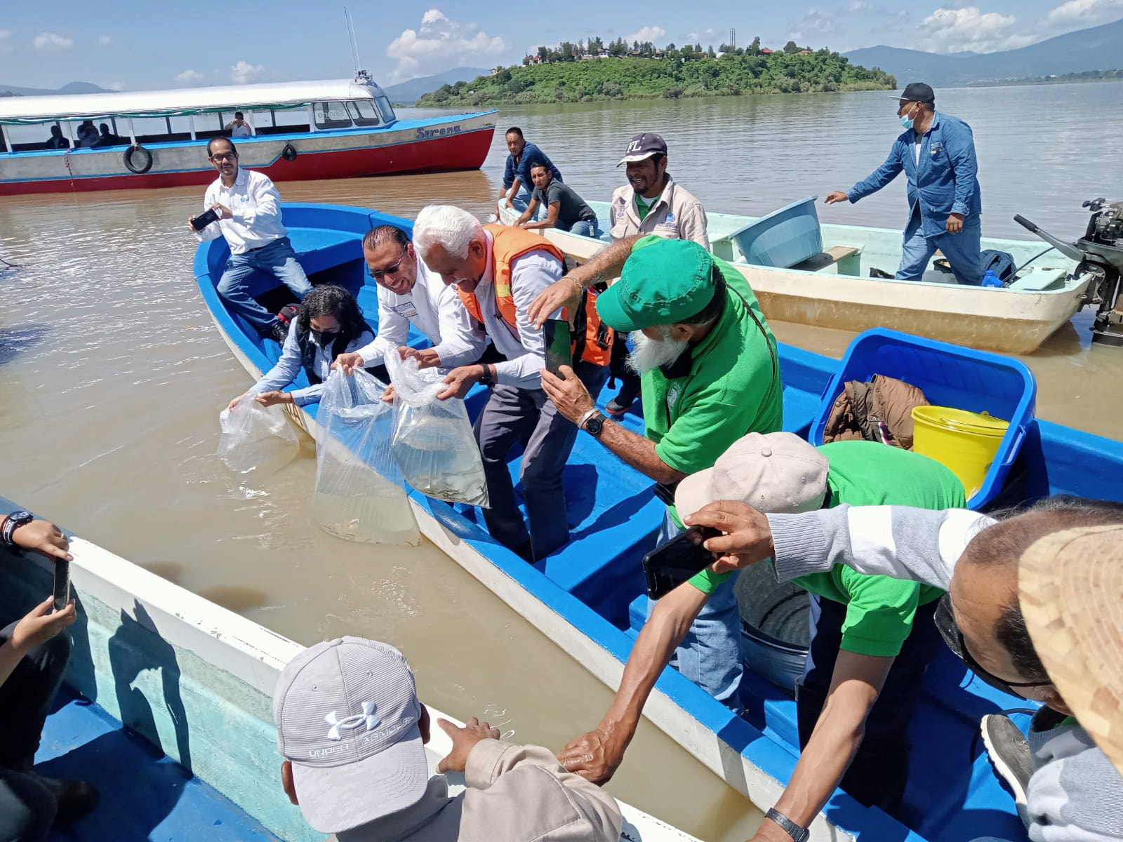 Producen pescado blanco en Lago de Pátzcuaro - Prensa Animal