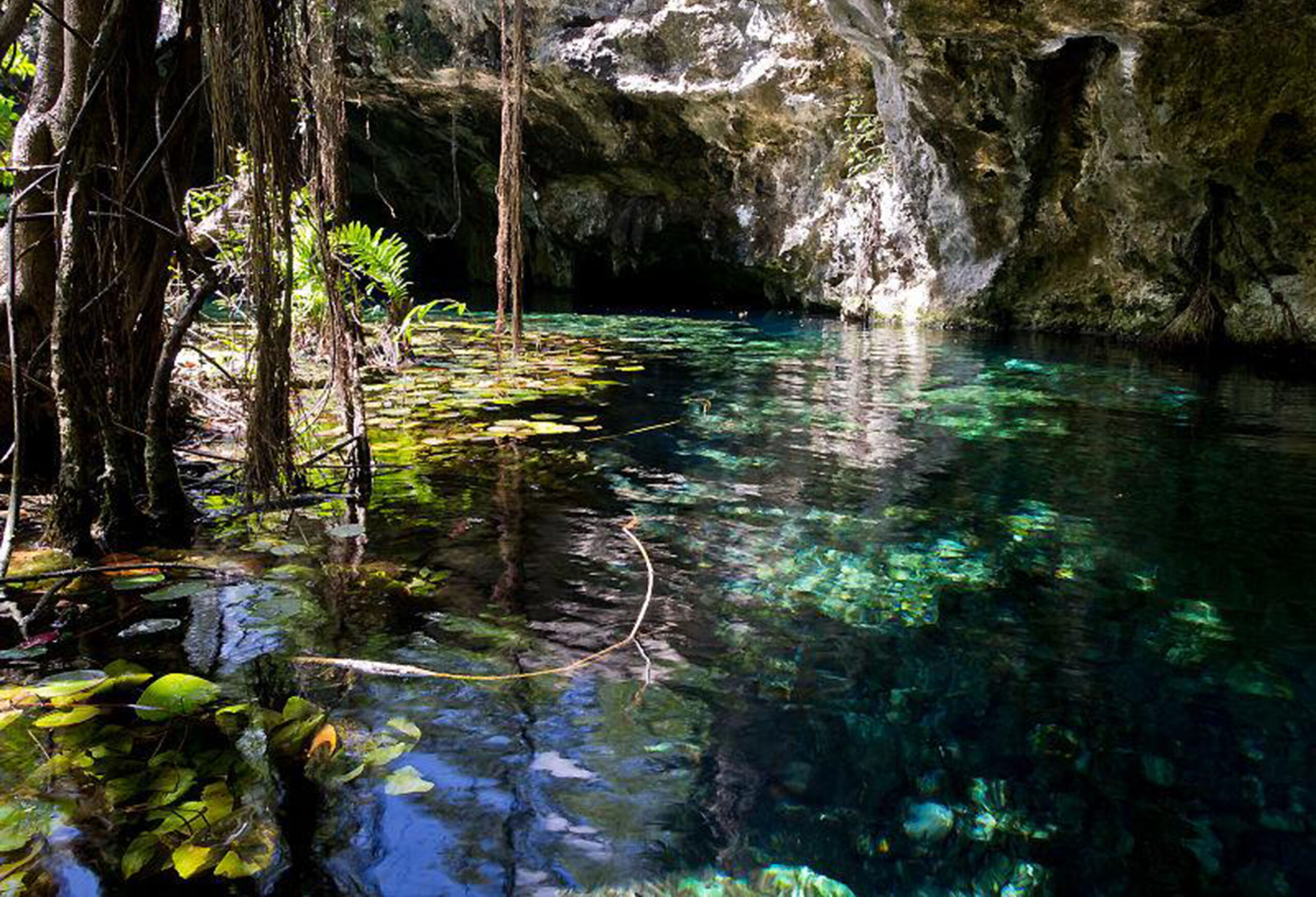 Sac Actun: geositio mexicano de los 100 más importantes - Prensa Animal