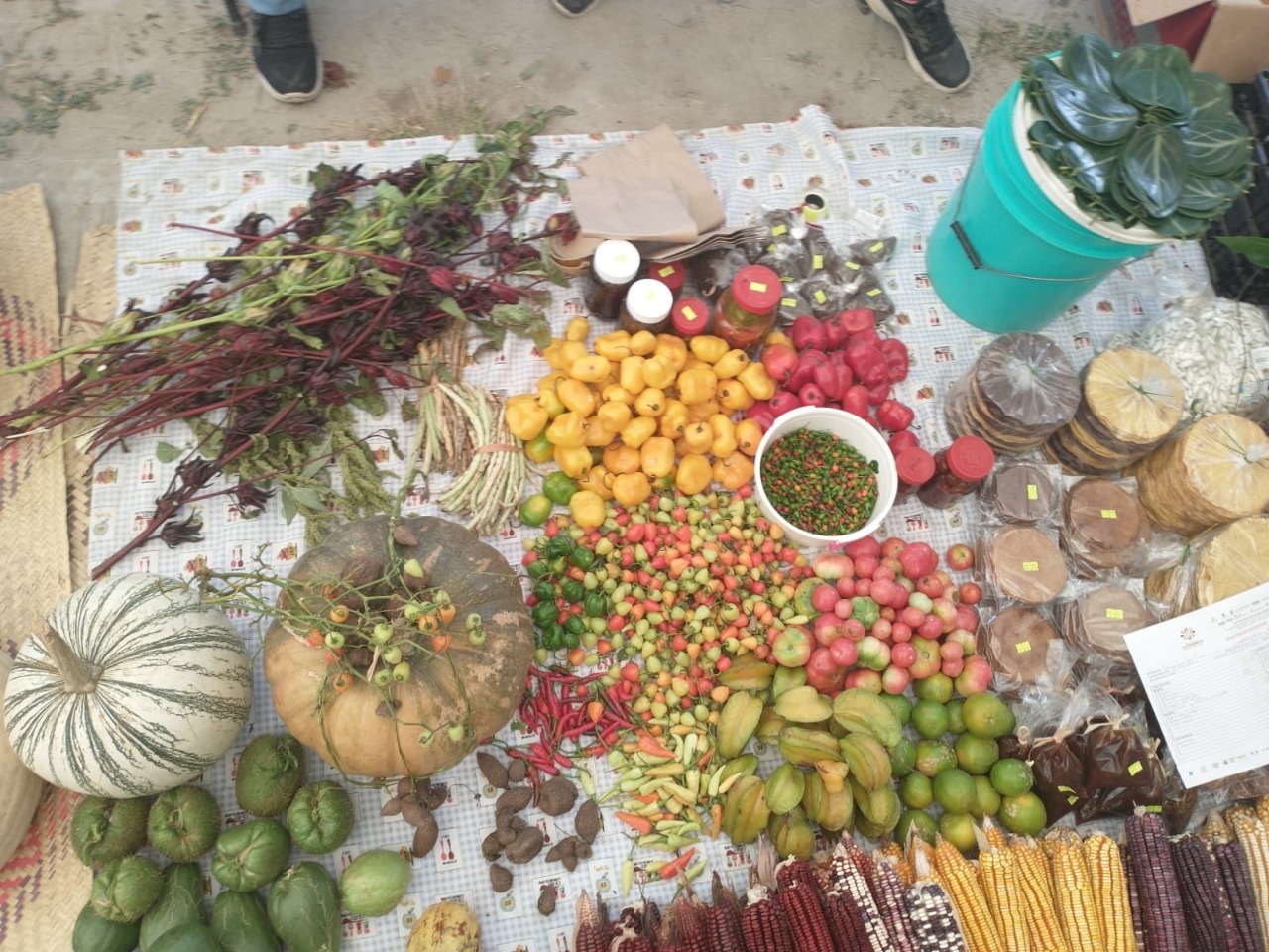 Conanp en la Décima Feria de la Agrobiodiversidad - Prensa Animal