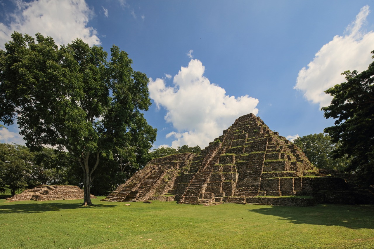 Continúan los hallazgos arqueológicos en Palenque - Prensa Animal