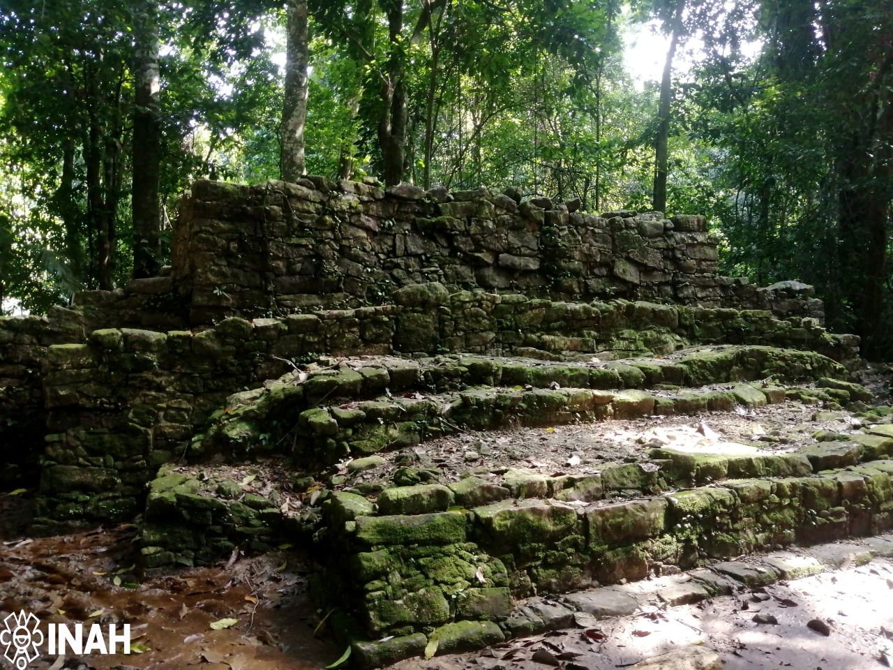 Se abrirá una nueva sección de Palenque - Prensa Animal