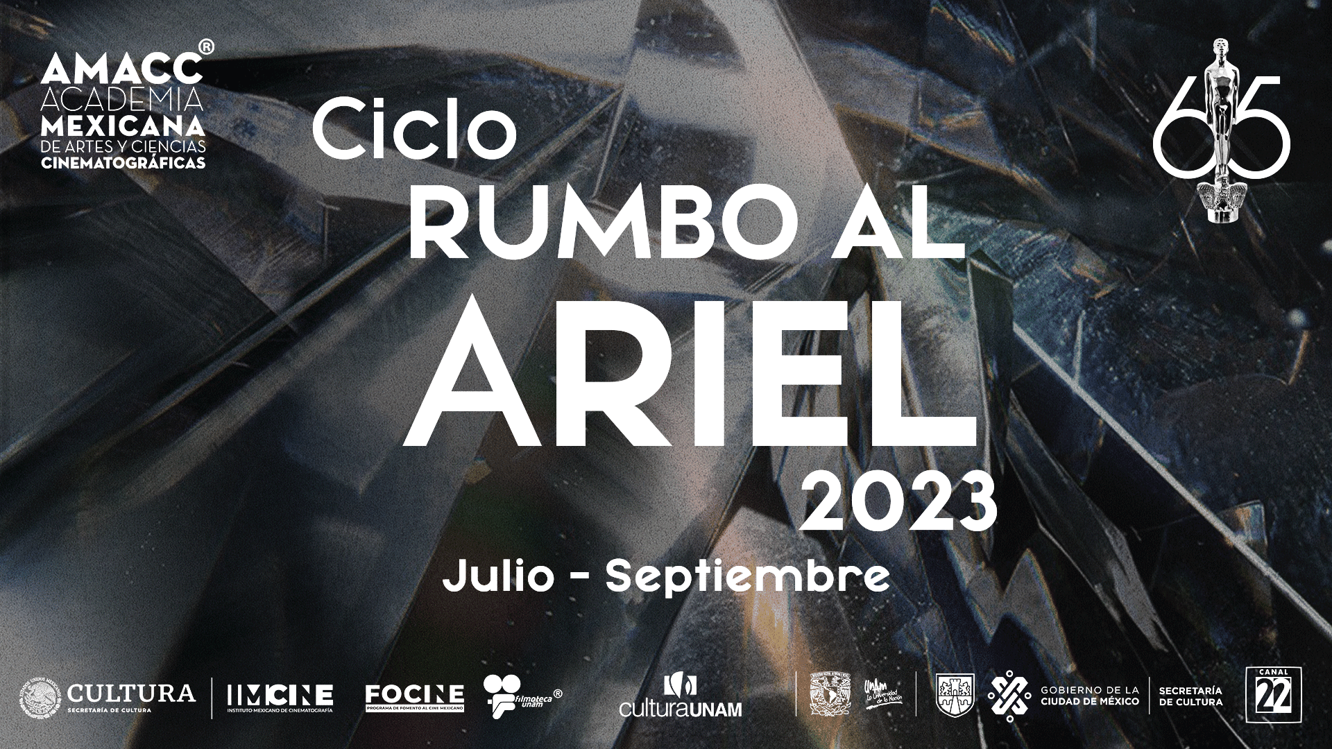 Continúa el ciclo de cine “Rumbo al Ariel” - Prensa Animal