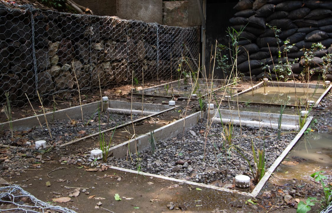 Biodigestores mejoran ecosistema de Barranca Eslava - Prensa Animal
