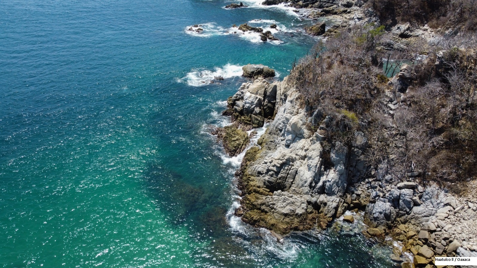 Se anuncia el decreto de 13 nuevas ANP en seis estados - Prensa Animal