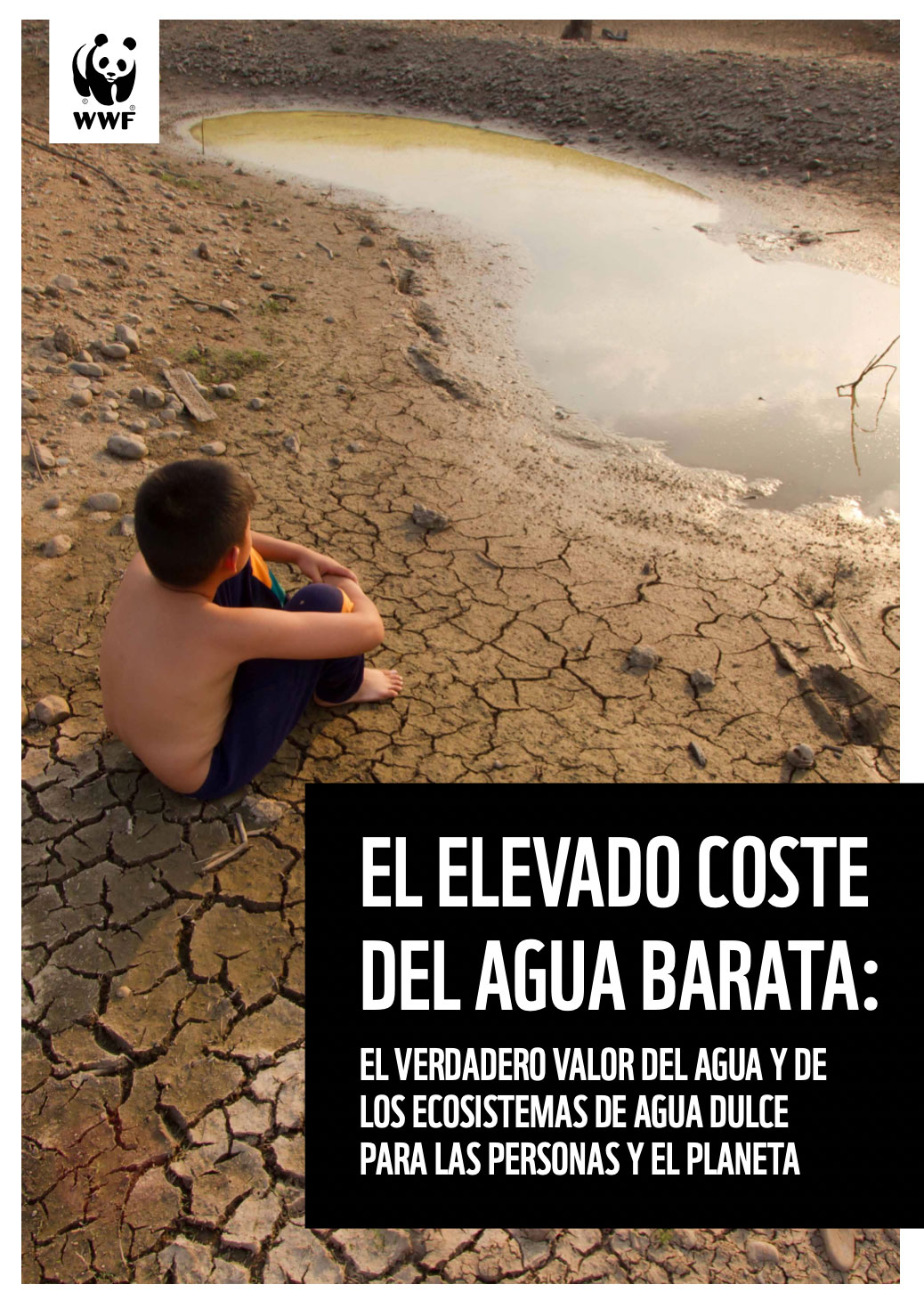 La crisis del agua amenaza seguridad alimentaria - Prensa Animal