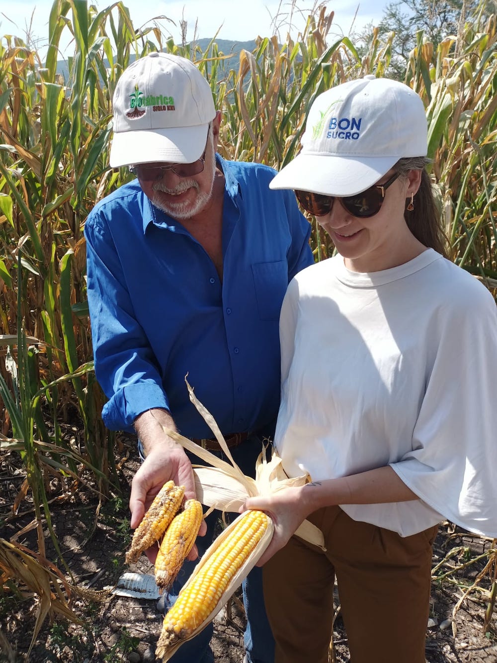 Biofertilizantes reducen pérdida de cosecha por sequía - Prensa Animal