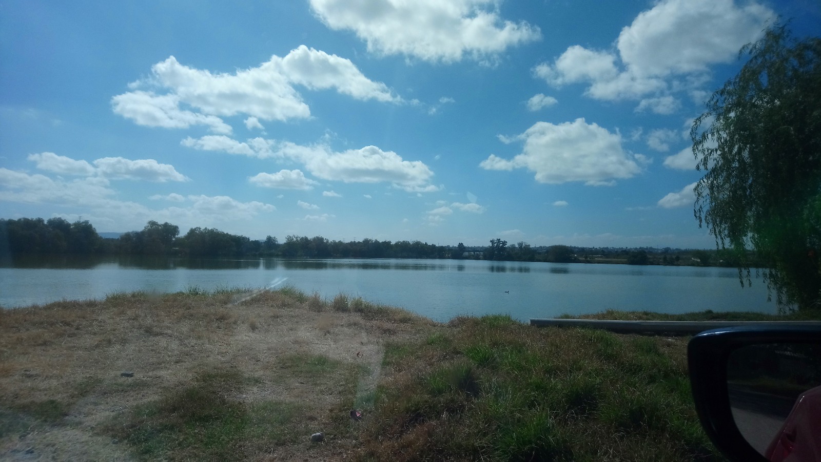 Propuesta para recuperar laguna mexiquense - Prensa Animal