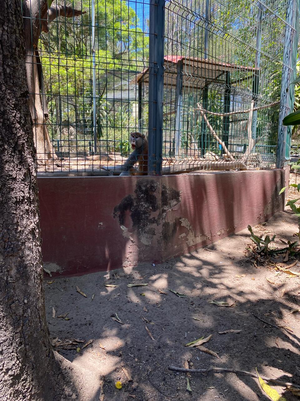Aseguran todos los animales de Ecoparc en Colima - Prensa Animal