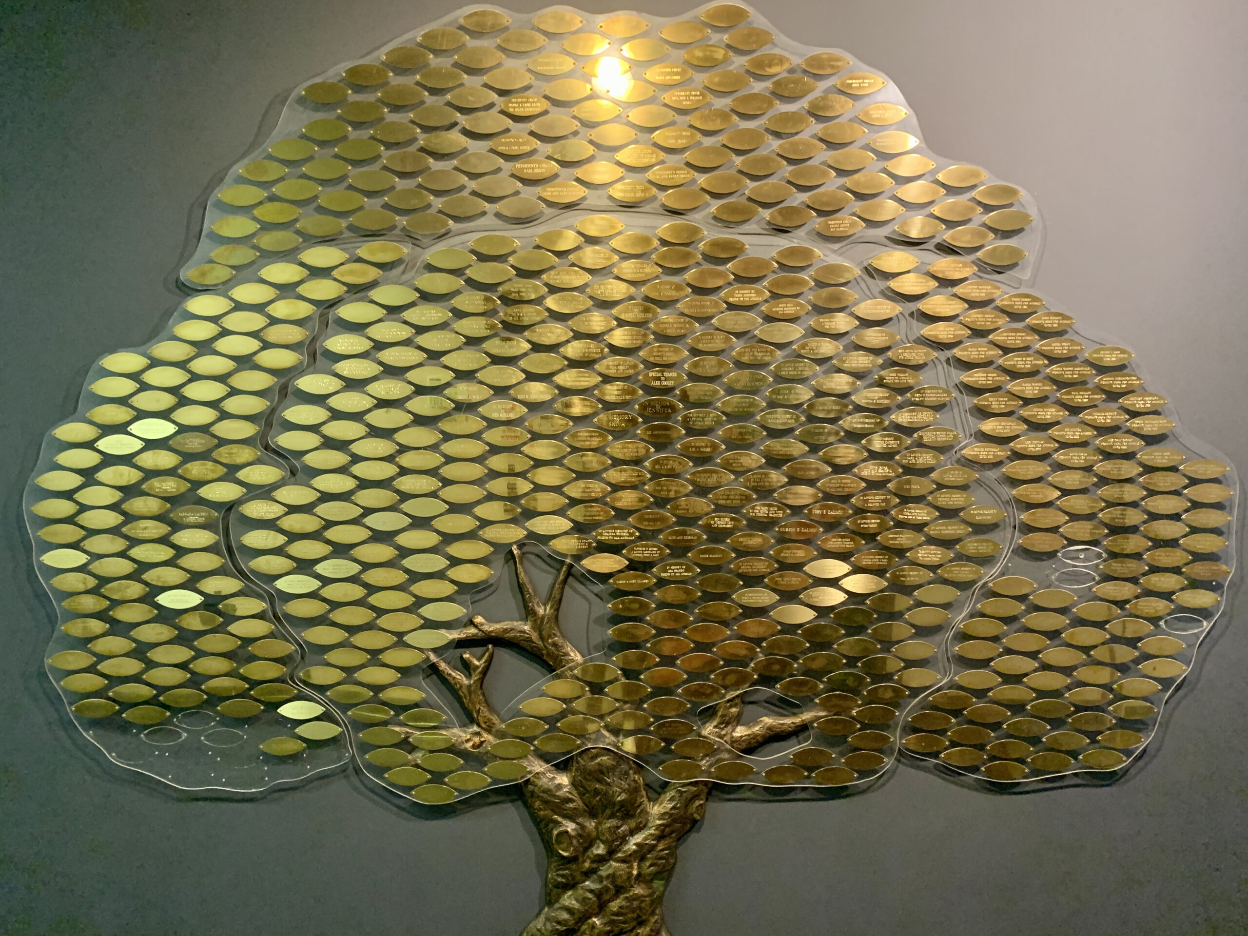 PETA Latino rinde homenaje a Elena Larrea - Prensa Animal