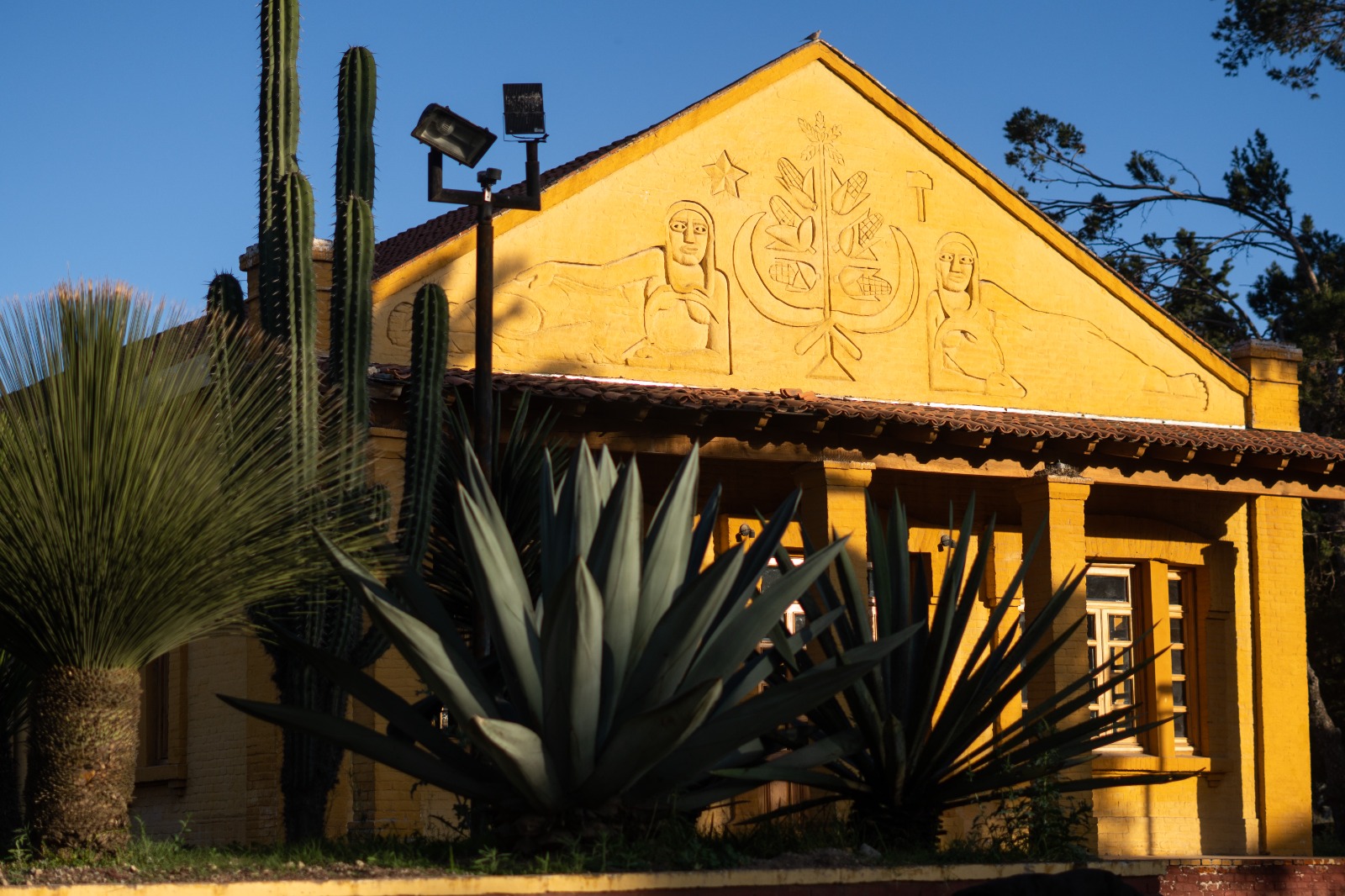 La UACh gana demanda al exrector José Solís Ramírez - Prensa Animal