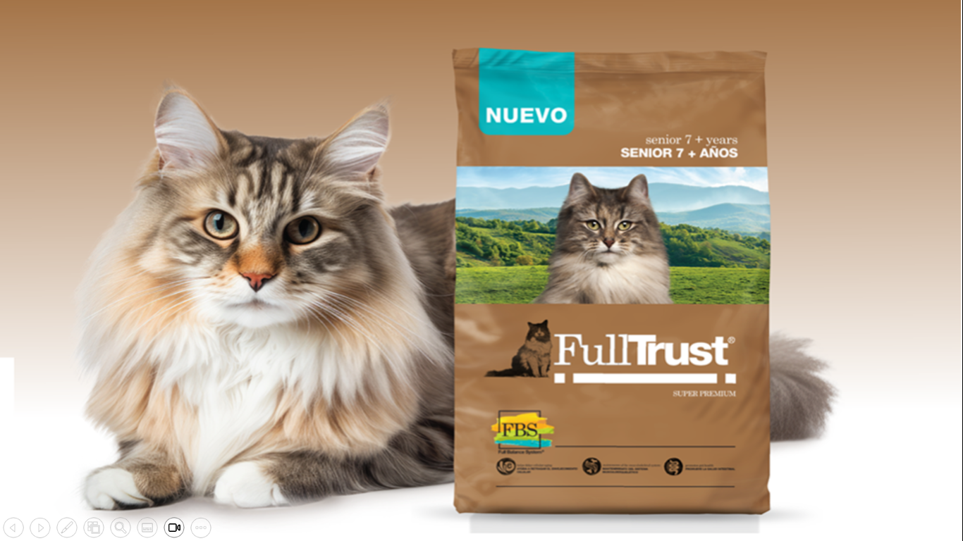 La ciencia detrás de una alimentación para gatos senior - Prensa Animal