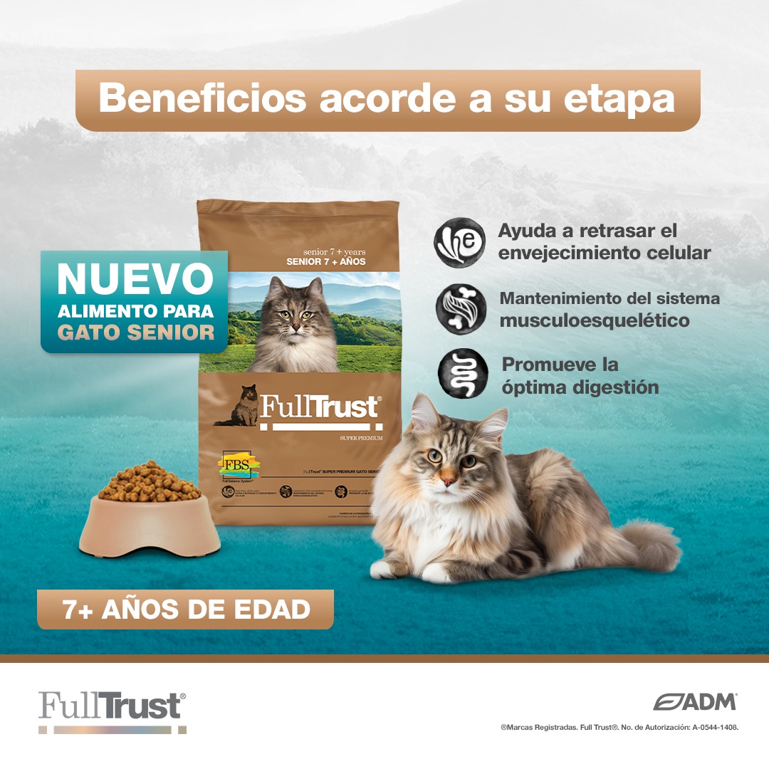 La ciencia detrás de una alimentación para gatos senior - Prensa Animal