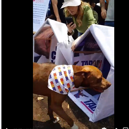 Santiago Taboada firma compromisos por los animales - Prensa Animal