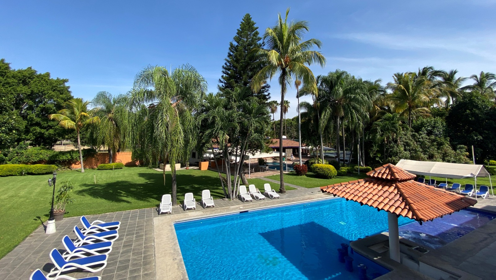 Se pone en marcha el proyecto Oquo Centro Wellness - Prensa Animal