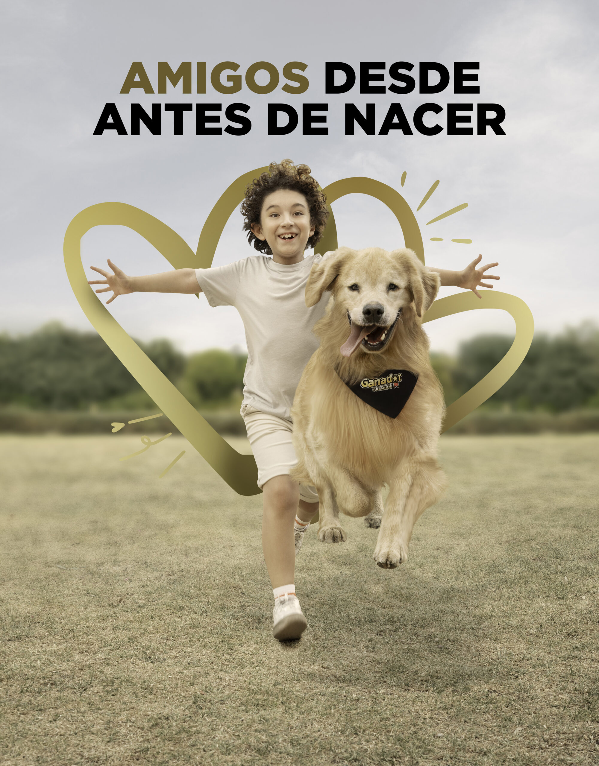 Tres datos que no sabías del alimento para perro - Prensa Animal