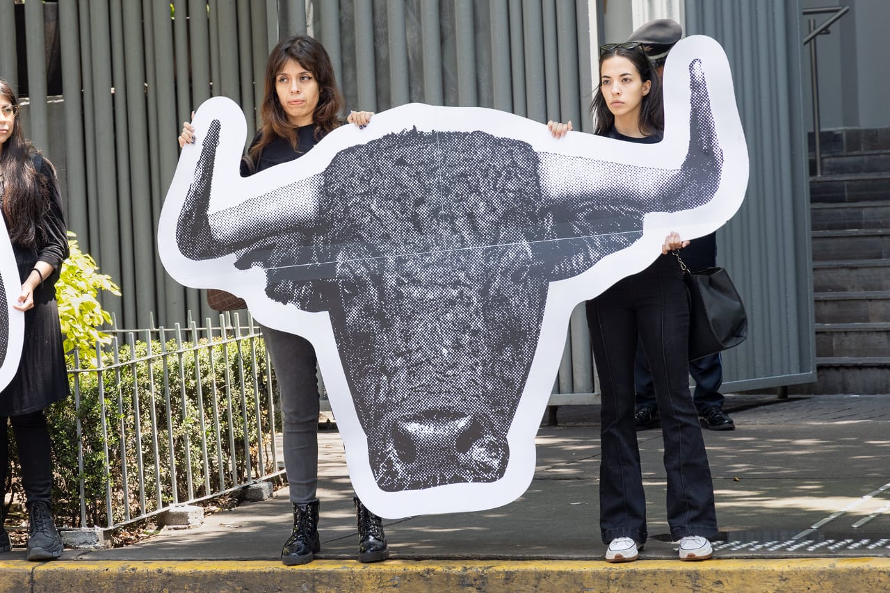 Activistas antitaurinos protestan frente a la Sader - Prensa Animal