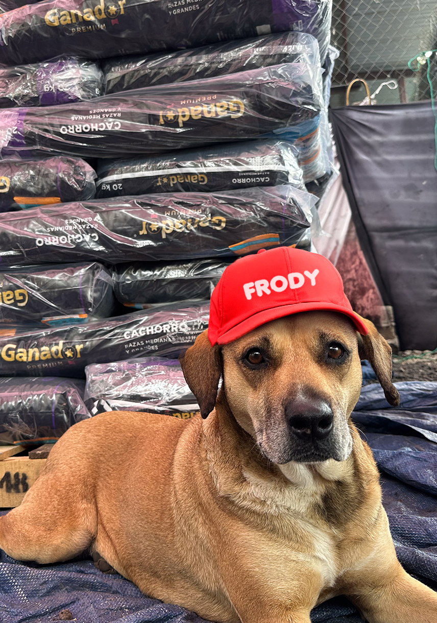 Frody y Ganador® se unen para Croquetón 2024 - Prensa Animal