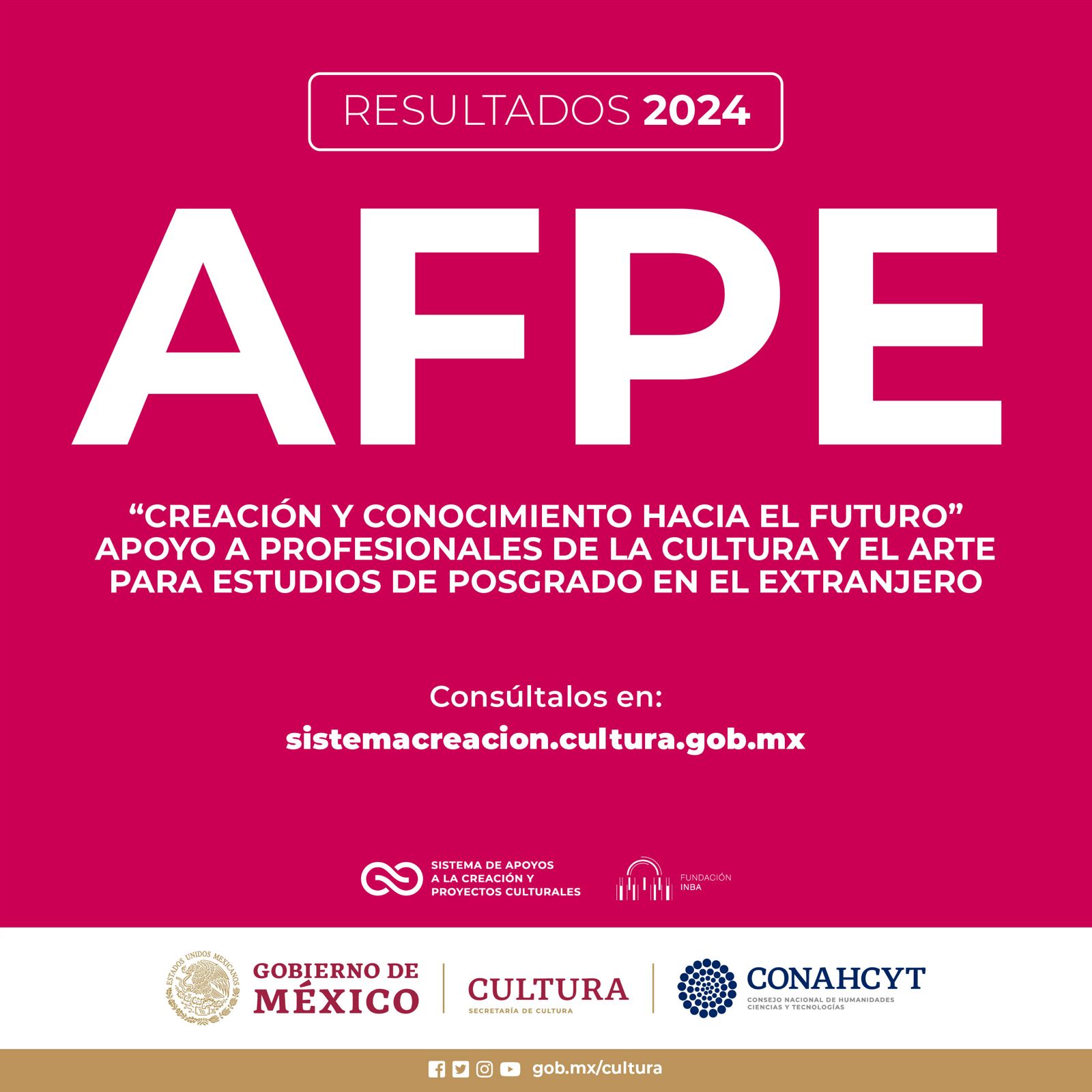 Resultados de la convocatoria de AFPE 2024 - Prensa Animal