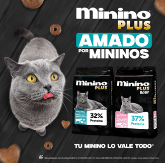 La ciencia detrás de cada bocado para tu minino - Prensa Animal