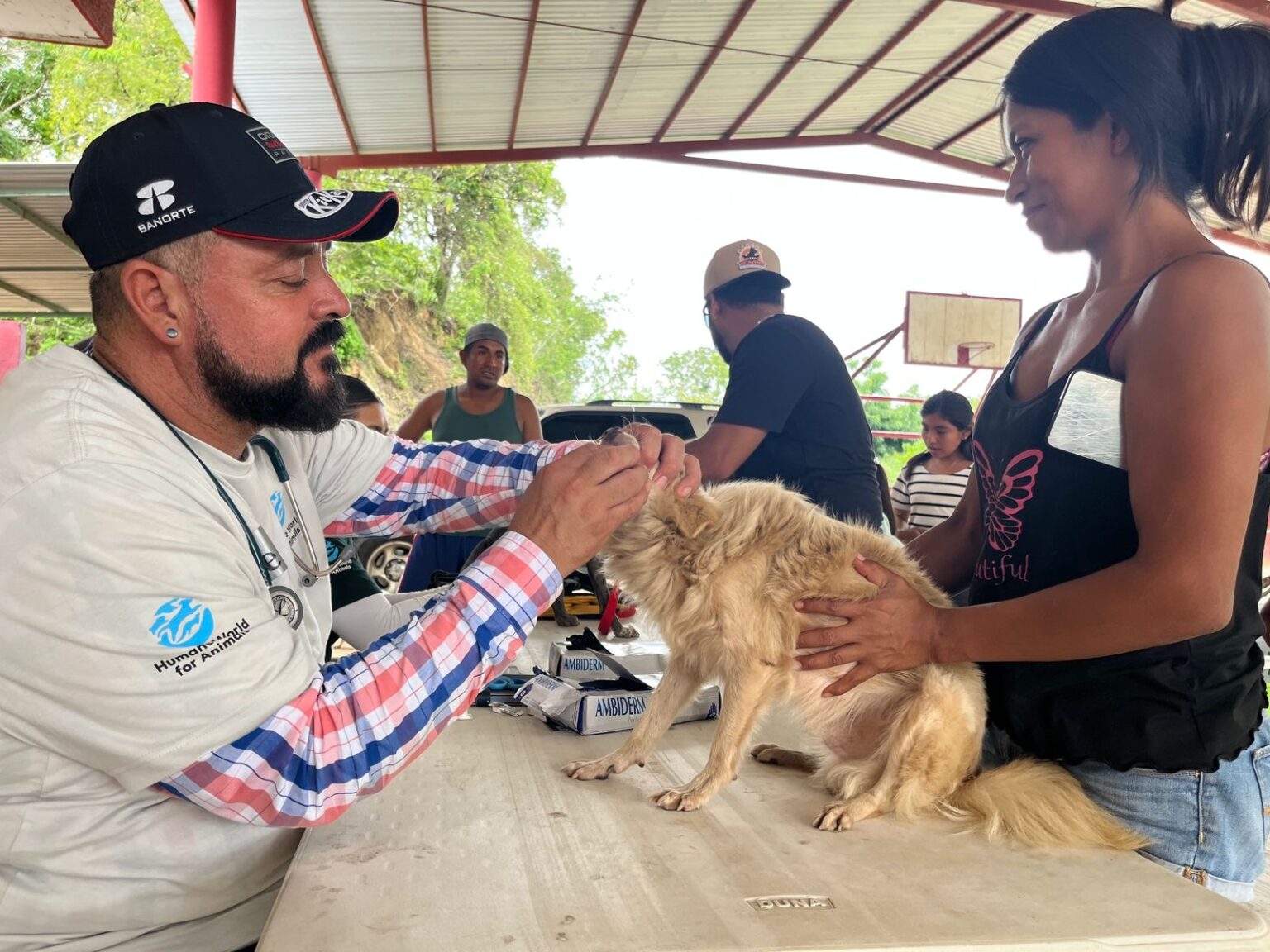 Ayudan a más de 1000 animales por huracán Erick - Prensa Animal