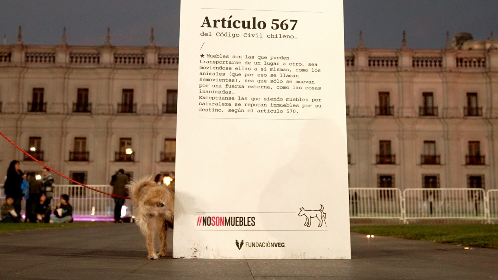 Perros se “meanifiestan” en Santiago - Prensa Animal