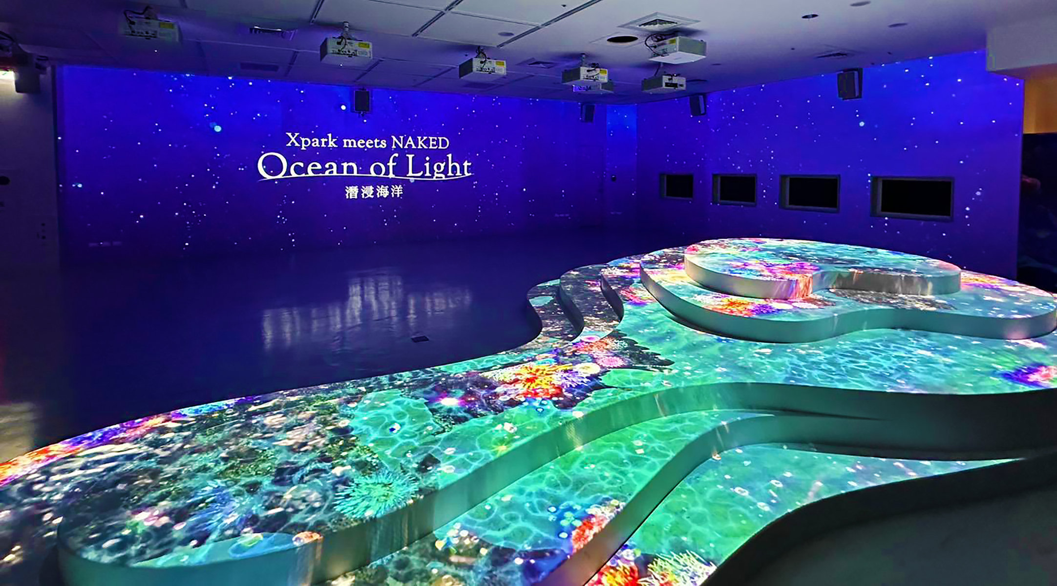 Nueva experiencia digital oceánica en el acuario Xpark - Prensa Animal